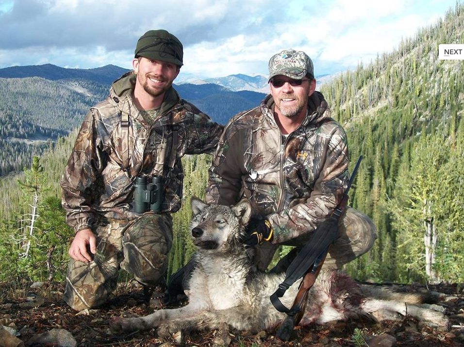 Wolves Part 2: Wolf Reintroduction in Idaho (1995-2011) – Idaho ...