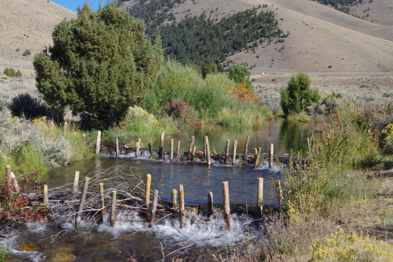 Beaver Dam Analogs catching on in Idaho – Idaho Rangeland Resource ...