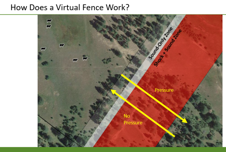 Virtual Fence: A New Tool for Managing Rangelands – Idaho Rangeland ...